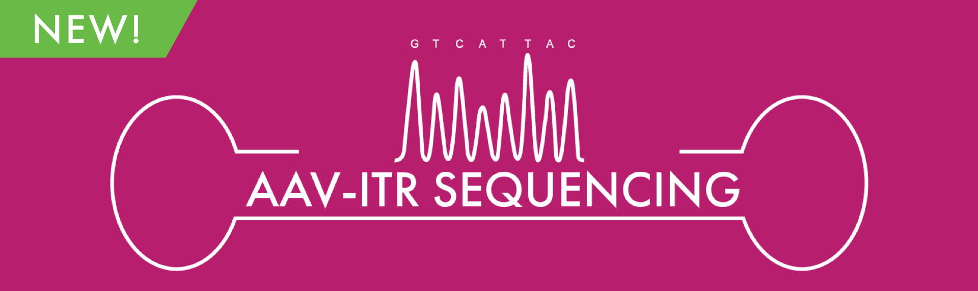 AAV-ITR Sequencing Promo | GENEWIZ from Azenta